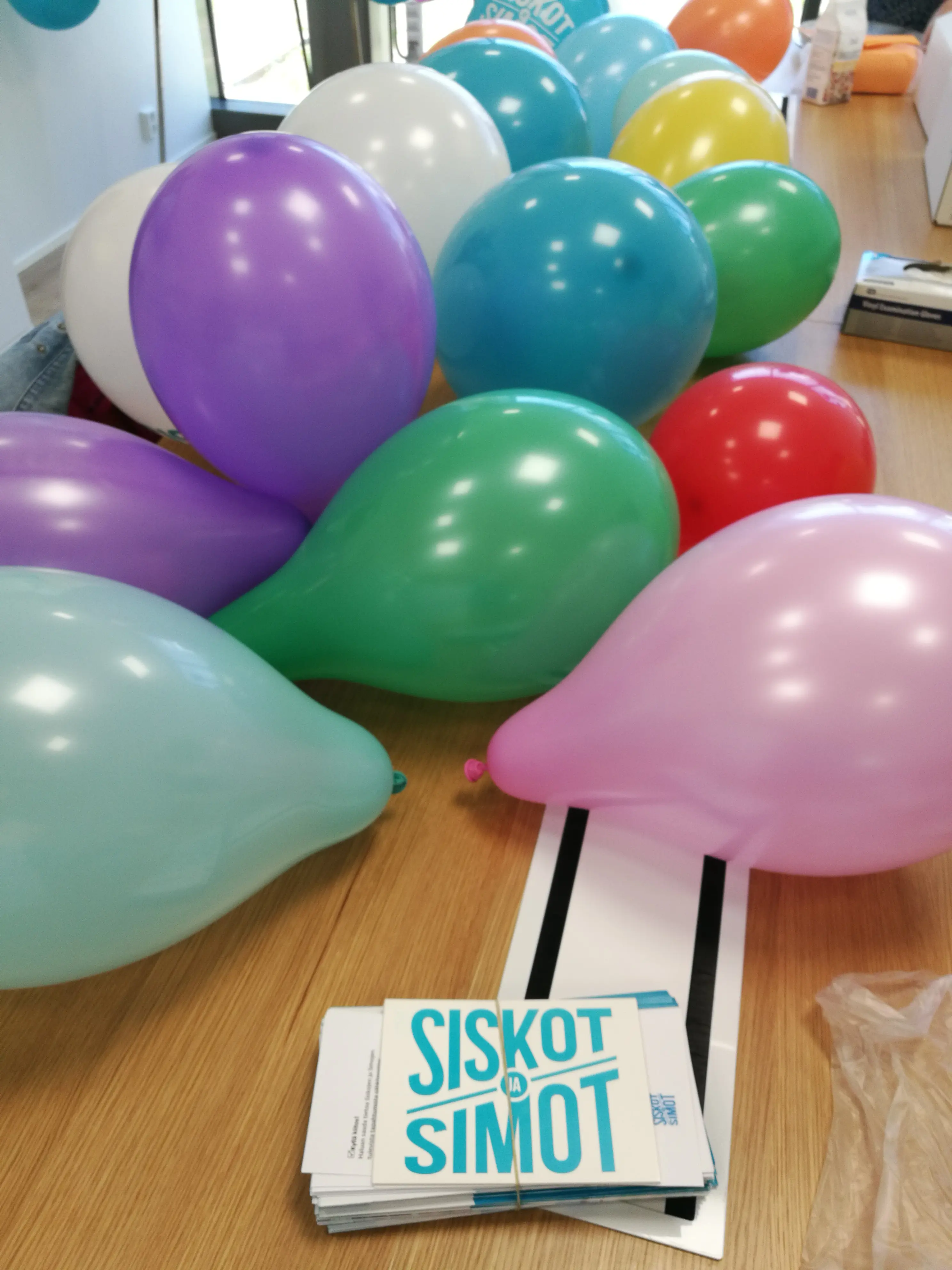 Siskot ja Simot - Siskot ja Simot